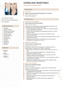 Generador CV con IA Gratis | CV ATS en 5 min - CVtoWork